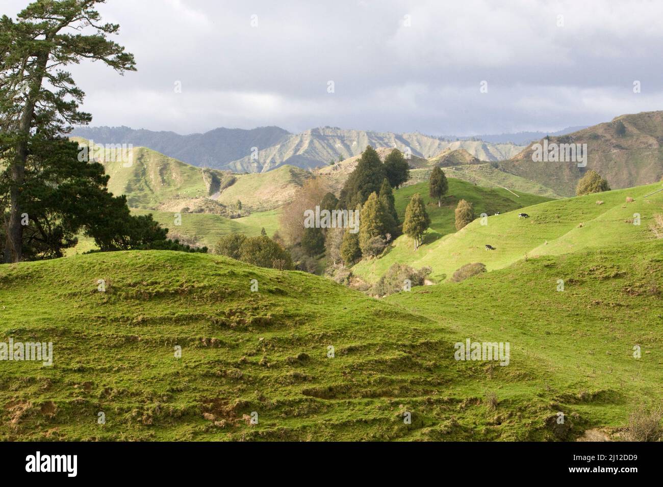 Strathmore hi-res stock photography and images - Alamy