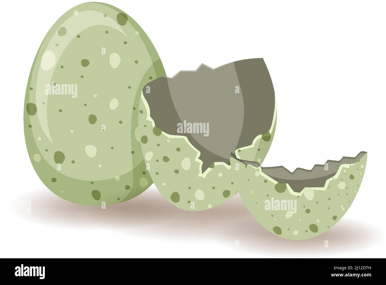 Egg shell cracking on white background illustration Stock Vector Image ...