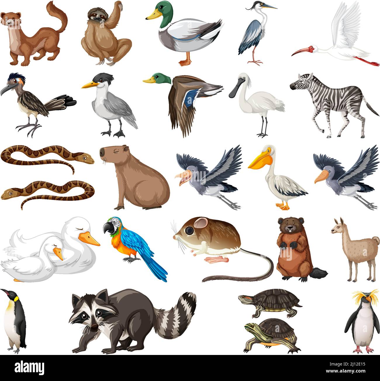 Different kinds of animals collection illustration Stock Vector Image ...