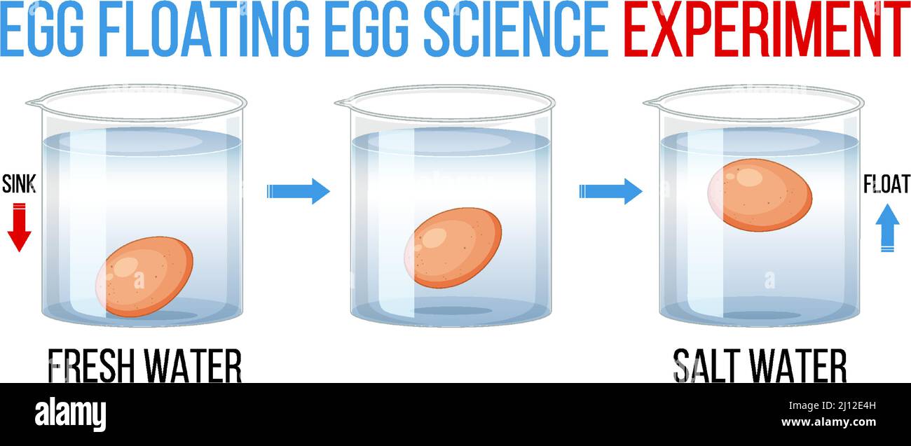 Science Experiment with test eggs for freshness illustration Stock ...