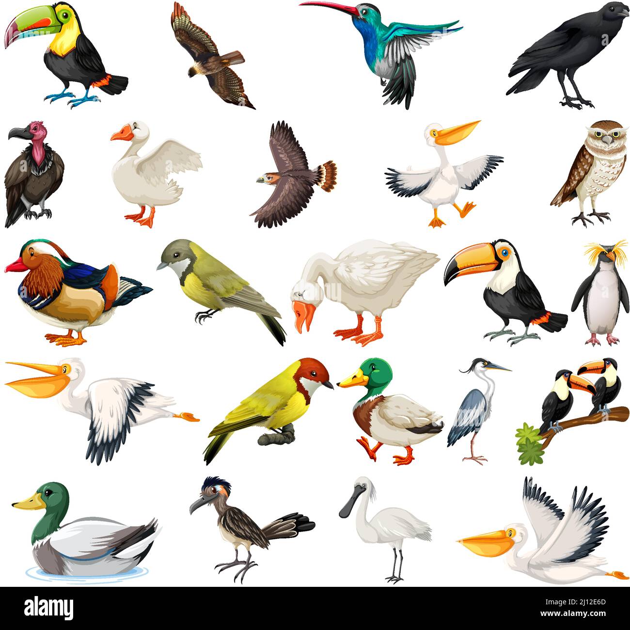 Different kinds of birds collection illustration Stock Vector Image ...