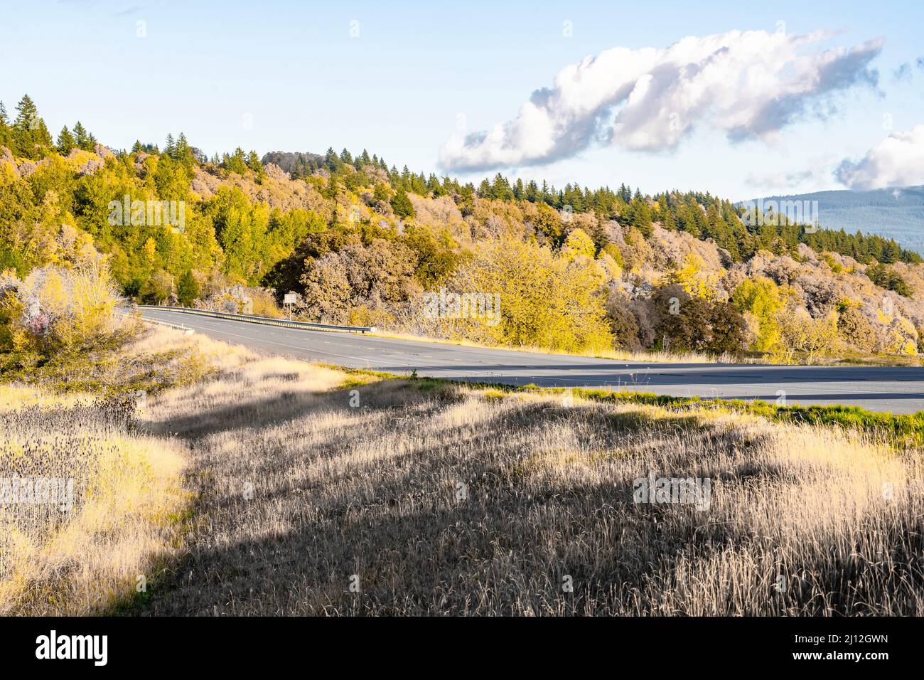 Scenic autumn landscape with a disappearing around the corner winding ...