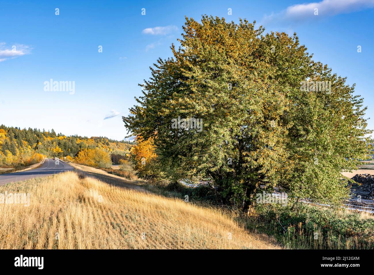 Scenic autumn landscape with a disappearing around the corner winding ...