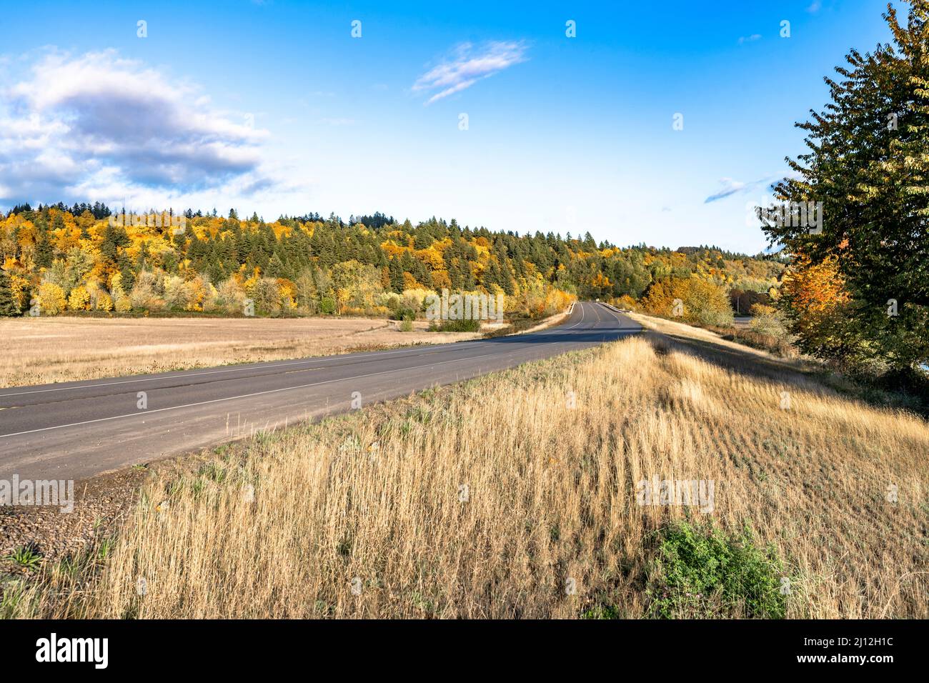 Scenic autumn landscape with a disappearing around the corner winding ...