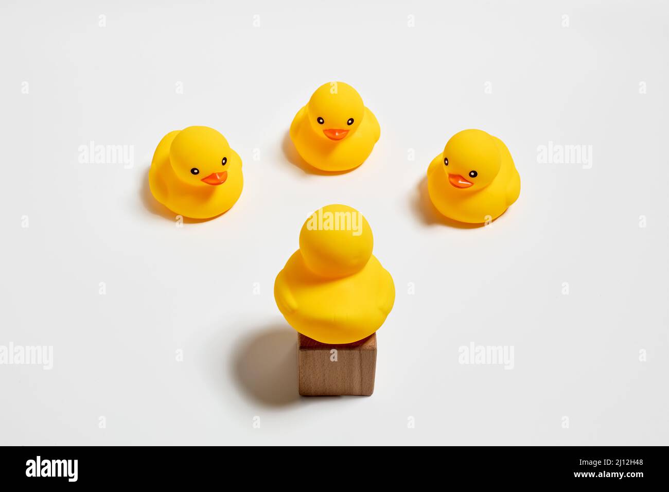 Leader follower ducks hi-res stock photography and images - Alamy