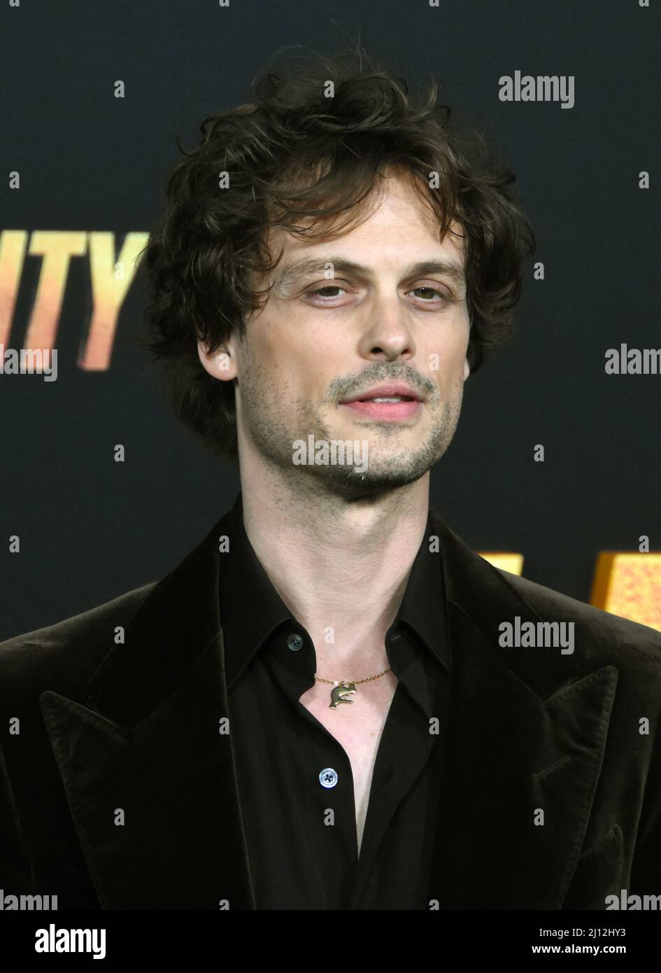 Los Angeles, California, USA 21st March 2022 Actor Matthew Gray Gubler attends the US Premiere ...