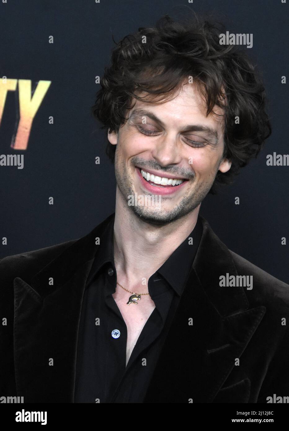 Los Angeles, California, USA 21st March 2022 Actor Matthew Gray Gubler attends the US Premiere ...