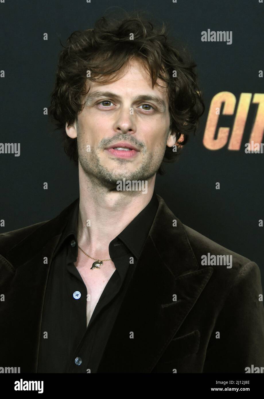 Los Angeles, California, USA 21st March 2022 Actor Matthew Gray Gubler ...