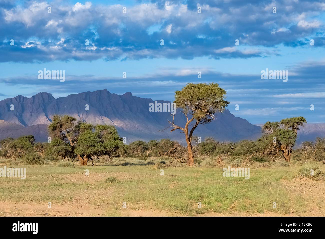 Namibia, panorama of the savannah, wild landscape with mountains in ...