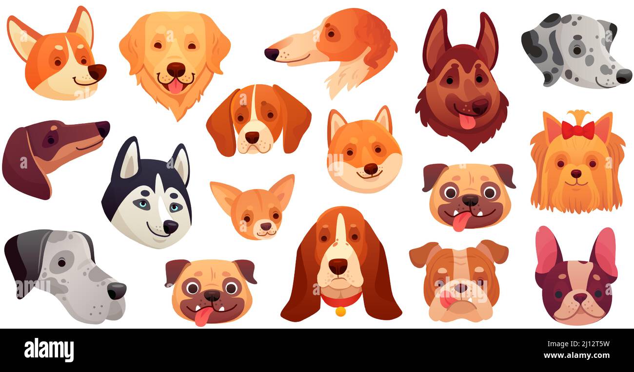 Cute dog faces. Different breeds as pug, husky, dalmatian, chihuahua ...