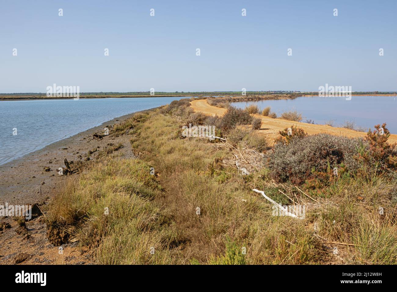 Saline ecosystem hi-res stock photography and images - Alamy