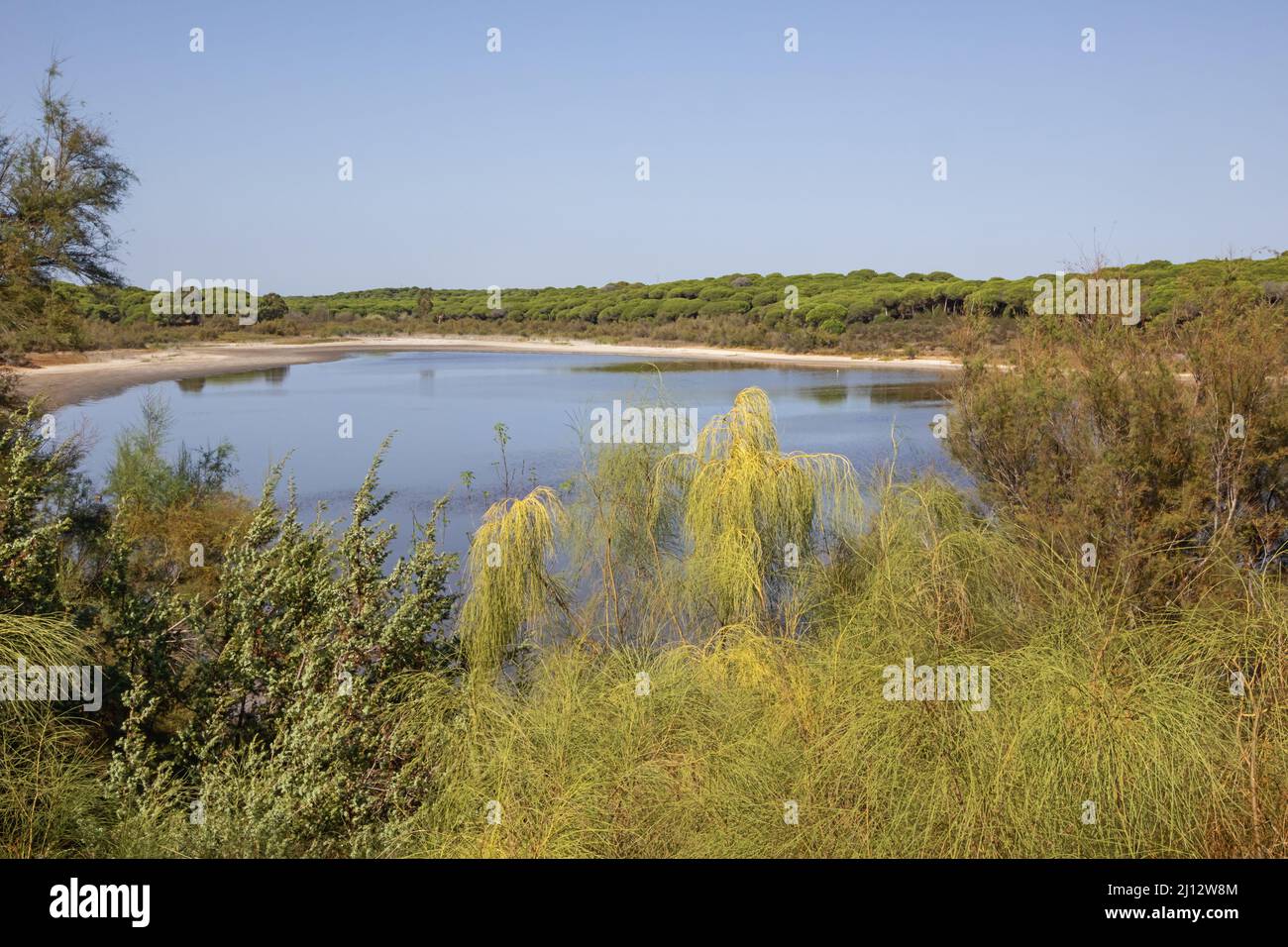 The laguna of El Portil in the Gulf of Cadiz Stock Photo - Alamy