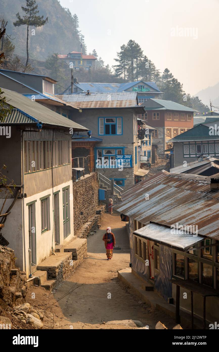 Phakding, Nepal - March 10, 2022: A porter on the trail to Everest Base ...