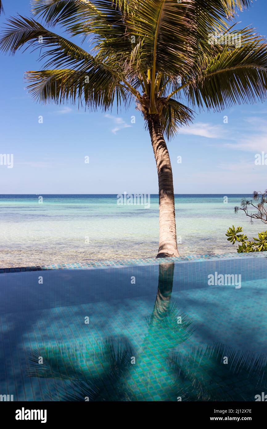 Infinity swimming pool near the ocean at Maldive Islands Stock Photo ...