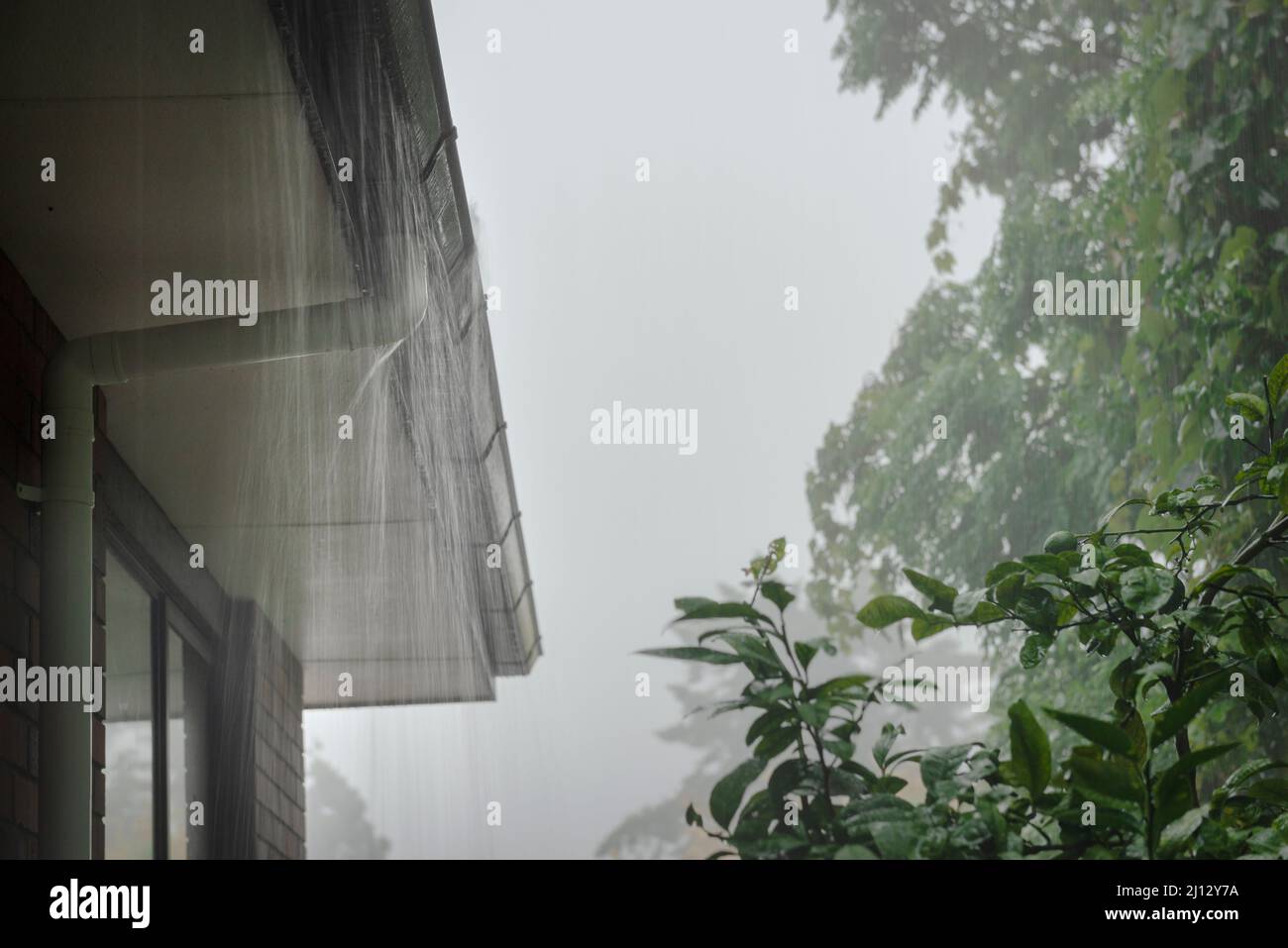Roof gutter overflow in the heavy rain. Rain water cascading over the ...