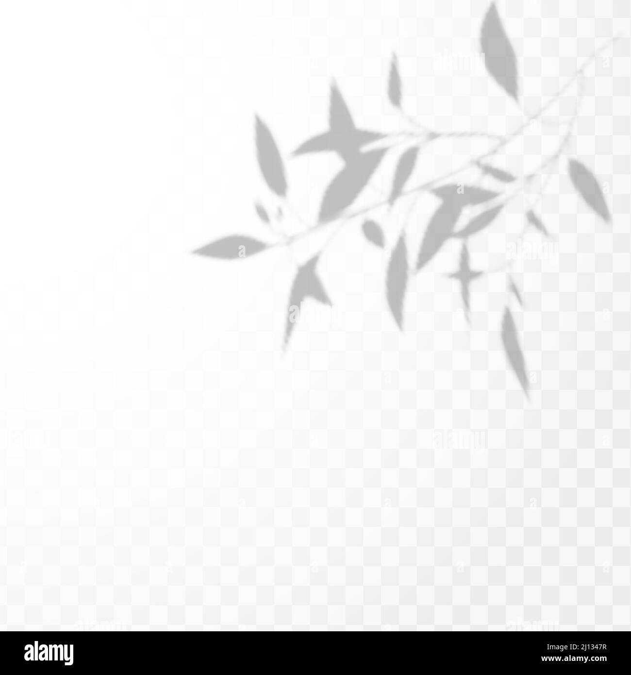 . The effect of overlaying shadows. Natural light layout.Realistic ...