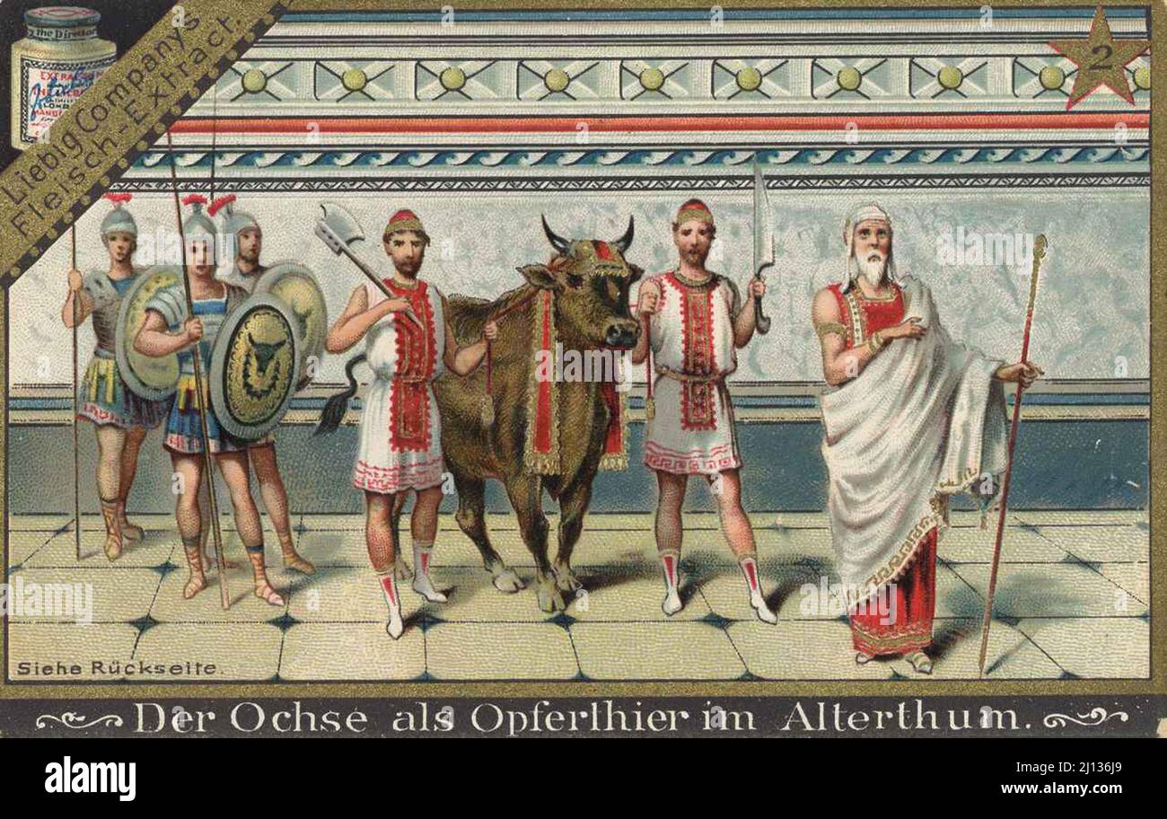 Bilderserie über den Ochsen, der Ochse als Opfertier im Altertum ...