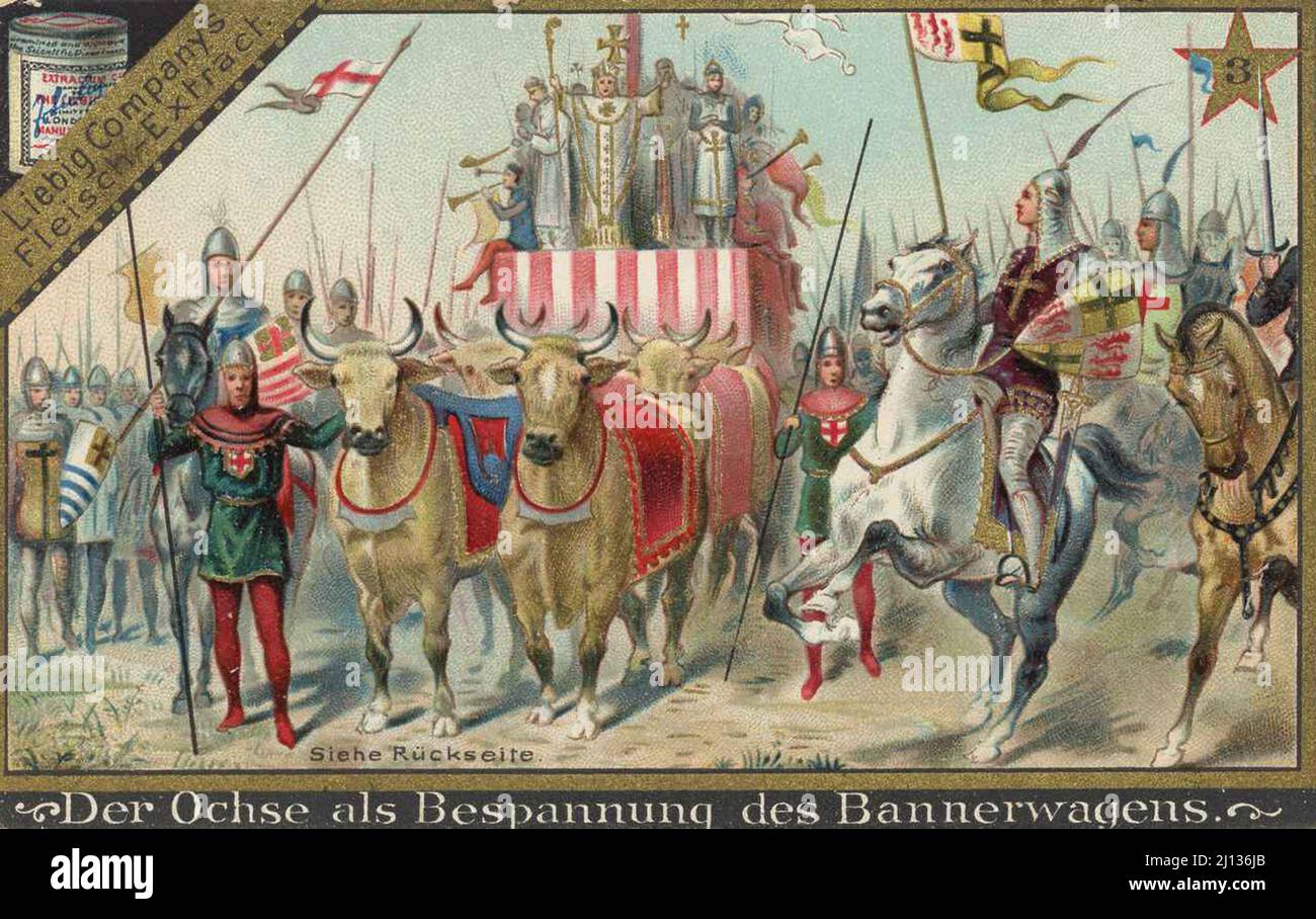 Bilderserie über den Ochsen, der Ochse als Bespannung des Bannerwagen ...