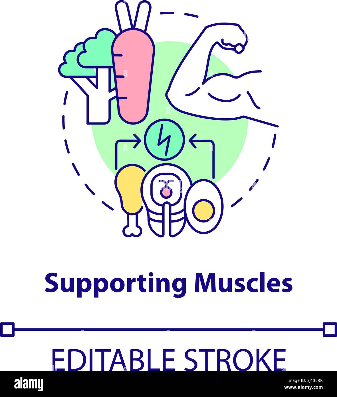 Supporting muscles concept icon Stock Vector Image & Art - Alamy