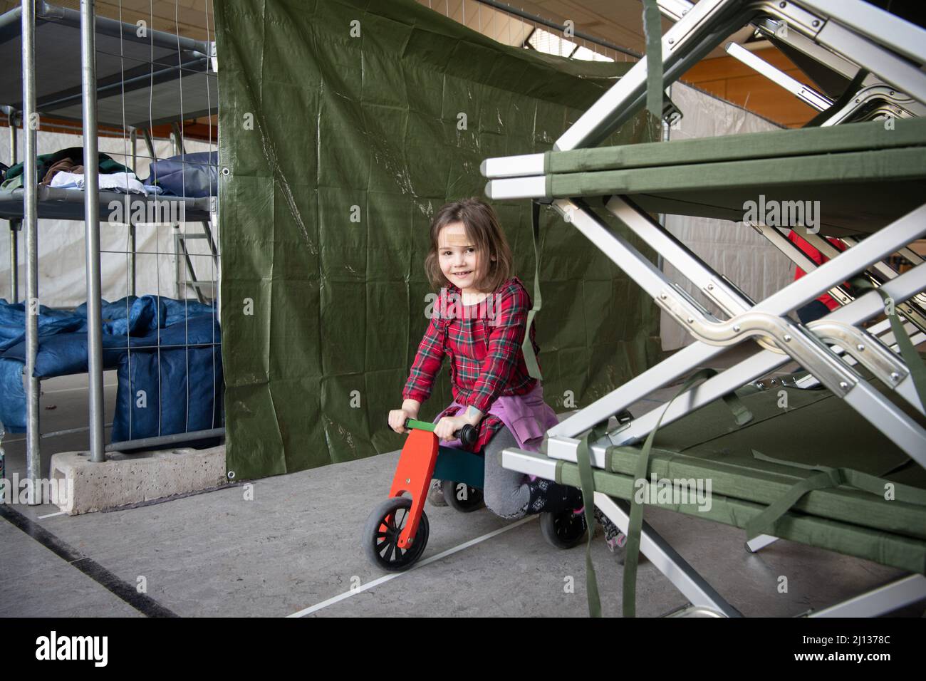 Emergency shelter cots hi-res stock photography and images - Alamy