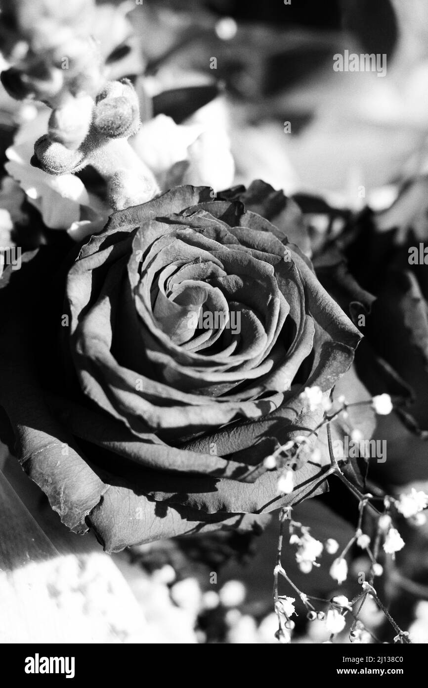 Beautiful bouquet of fresh flowers as a gift for someone special in ...