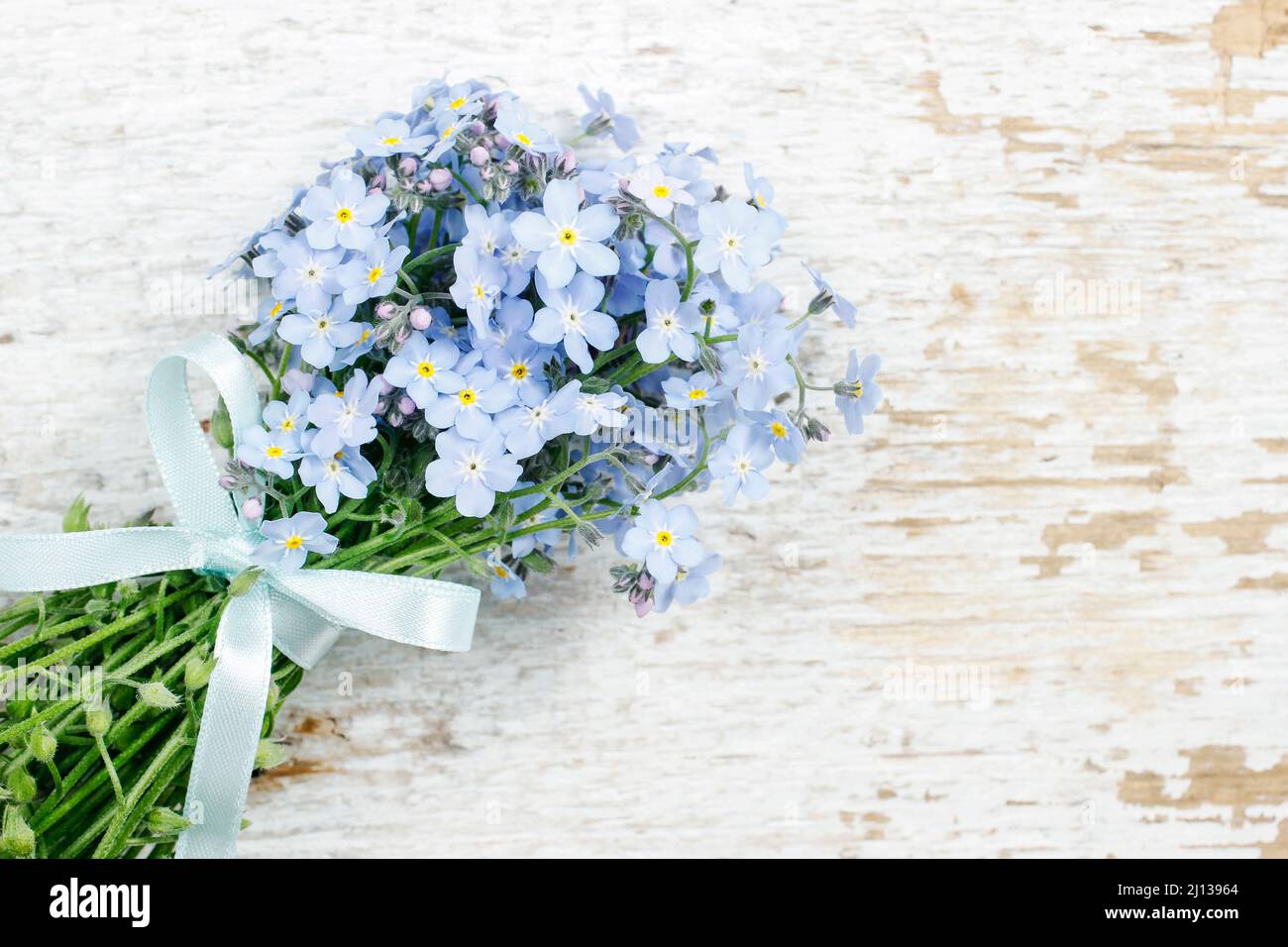 Bouquet of forget-me-not flowers. Spring decor Stock Photo - Alamy
