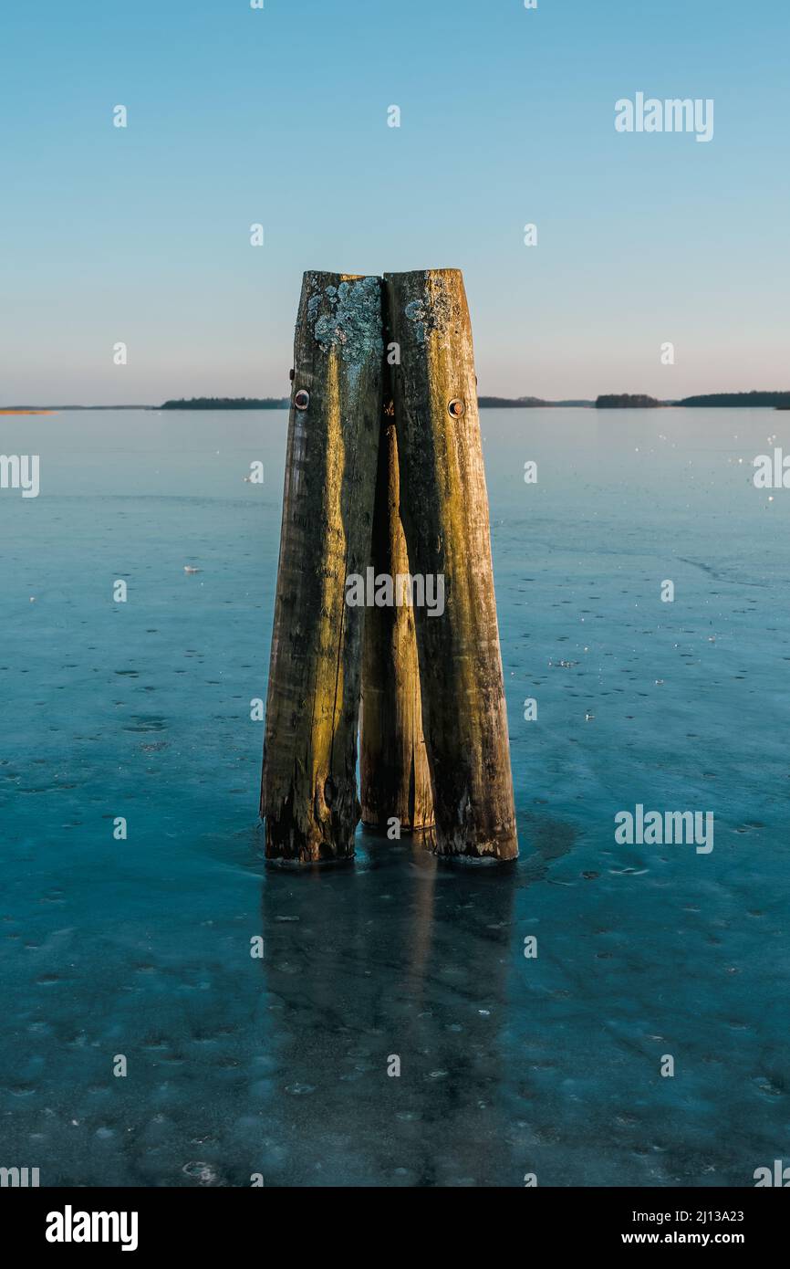 Dolphin structure hi-res stock photography and images - Alamy