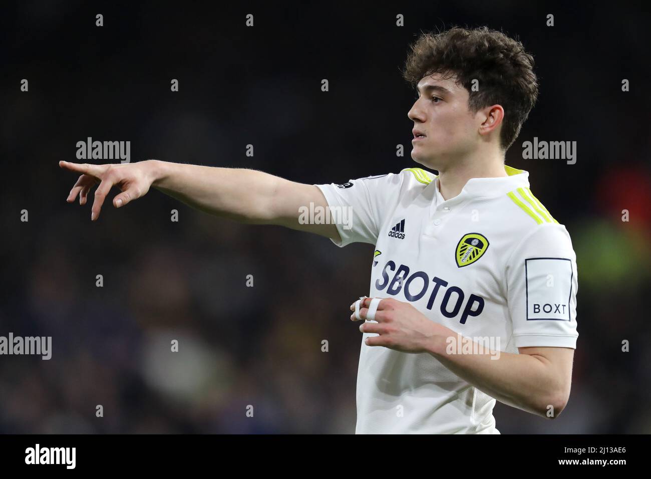 Daniel James Actor Prometheus