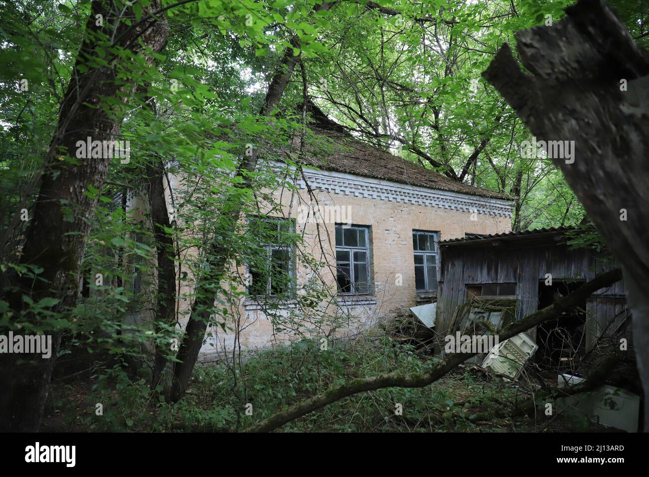 Chernobyl 1986 forest hi-res stock photography and images - Alamy