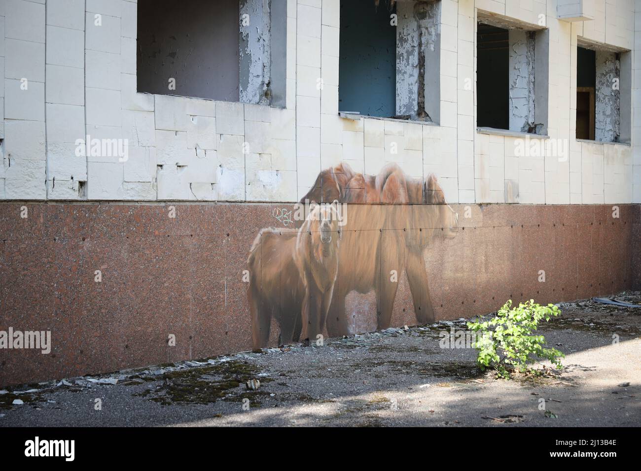 Mural in Pripyat Town in Chernobyl Exclusion Zone, Chernobyl, Ukraine ...