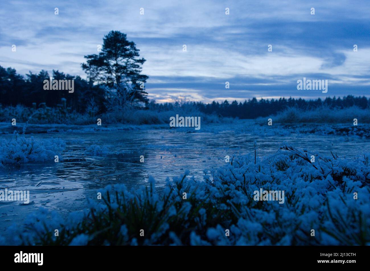 Frozen puddle in Forest Stock Photo - Alamy