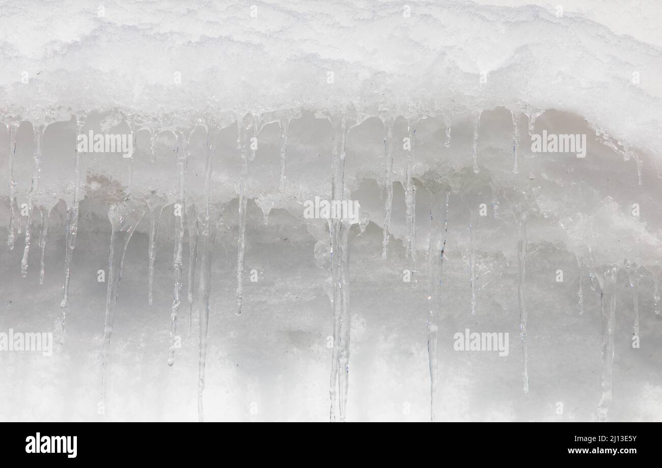Icicles and snow, abstract natural white background, design concept ...