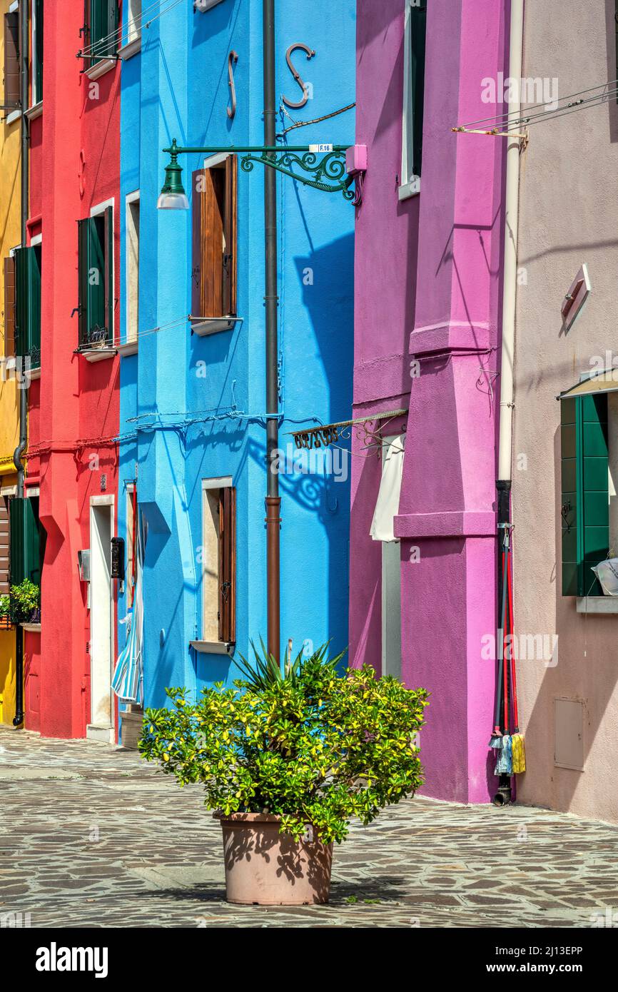 Colorfully painted houses, Burano, Venice, Veneto, Italy Stock Photo ...