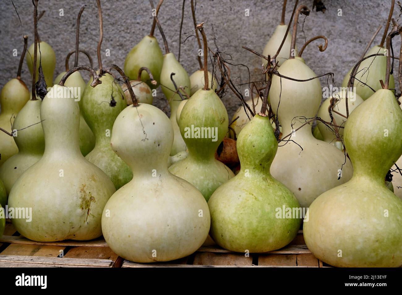 Drying gourds hi-res stock photography and images - Alamy