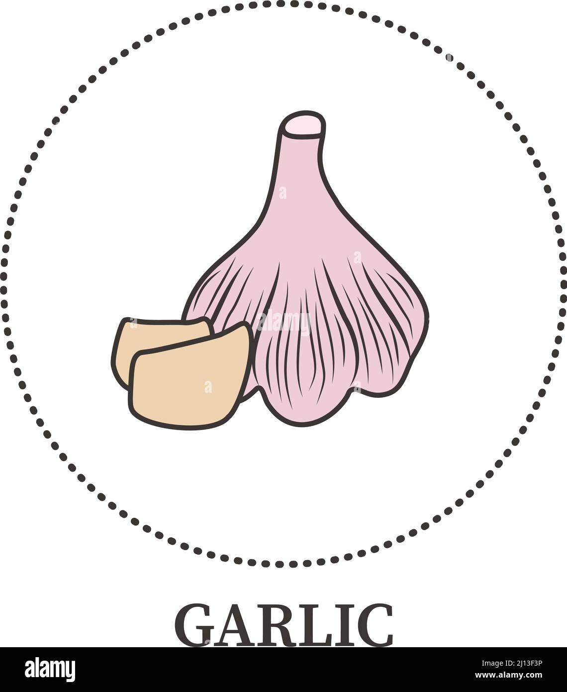 Abstract thin line garlic icon isolated on white background - Vector ...
