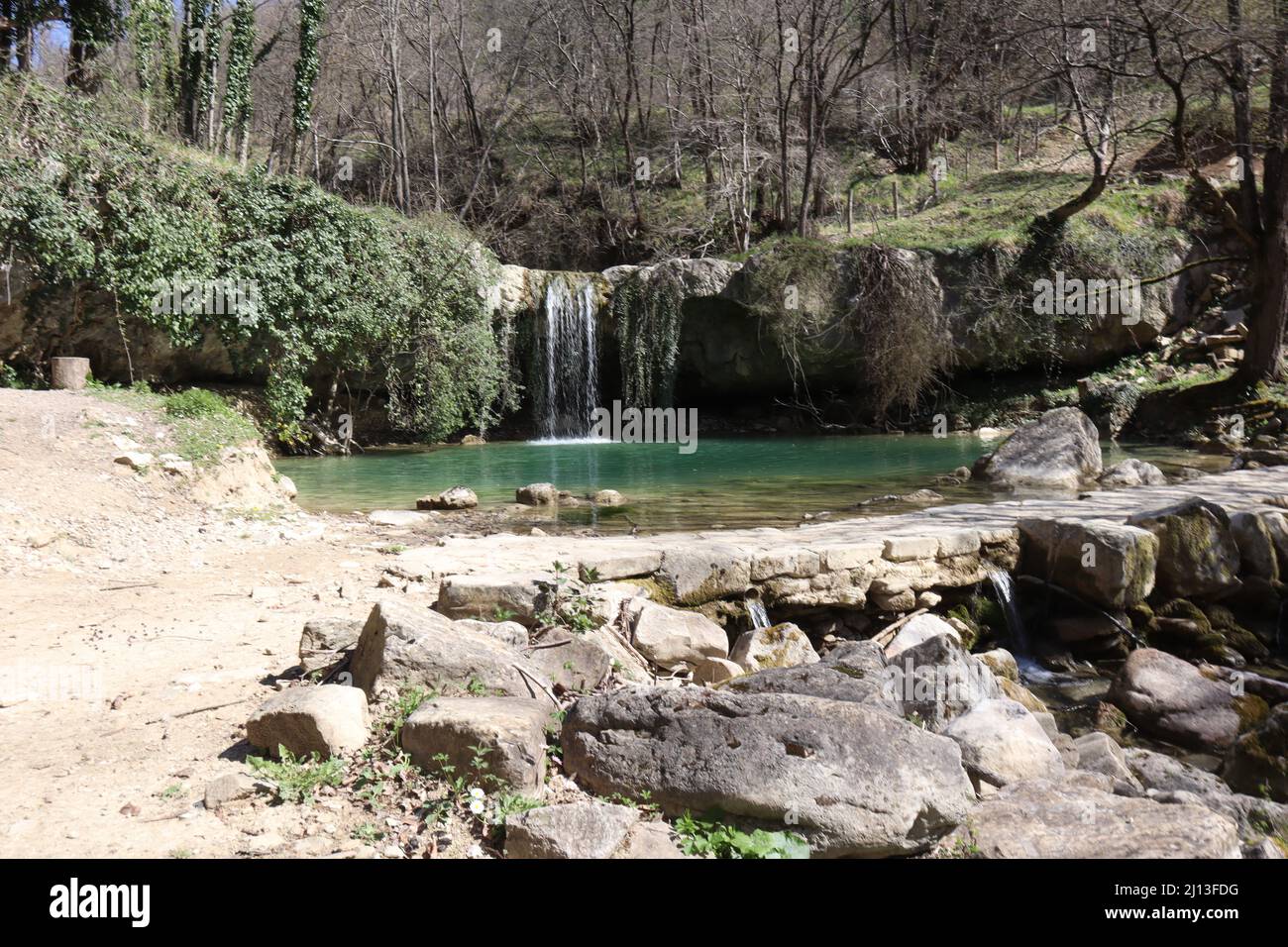 Waterfall dropping pond tree hi-res stock photography and images - Alamy