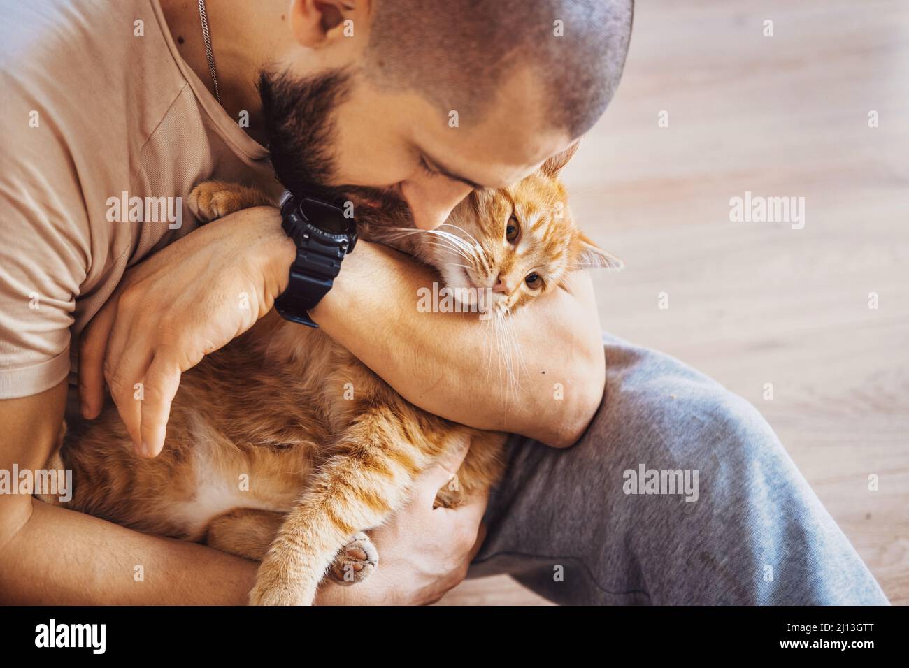 Man cuddling his cute ginger cat, pet looking pleased and sleepy ...