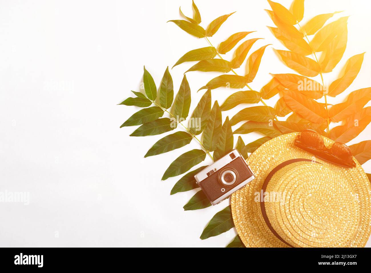 Straw hat with green leaves and old camera on white background, Summer ...