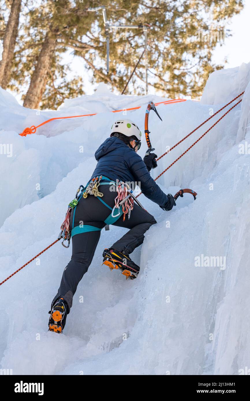 A female ice climber ascending an ice wall using ice axes and crampons ...