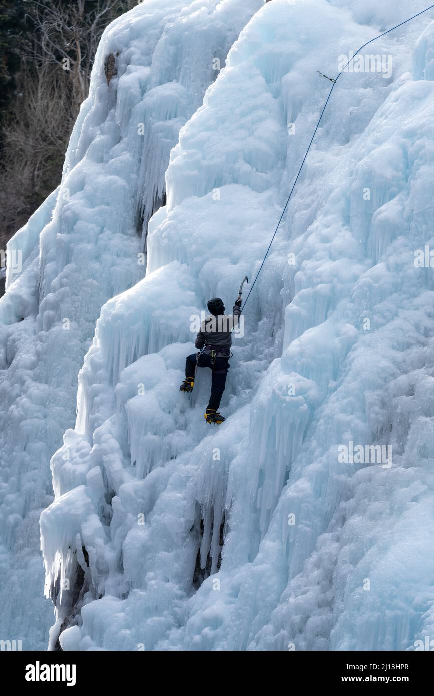 A female ice climber ascends an ice wall 160' high using ice axes and ...