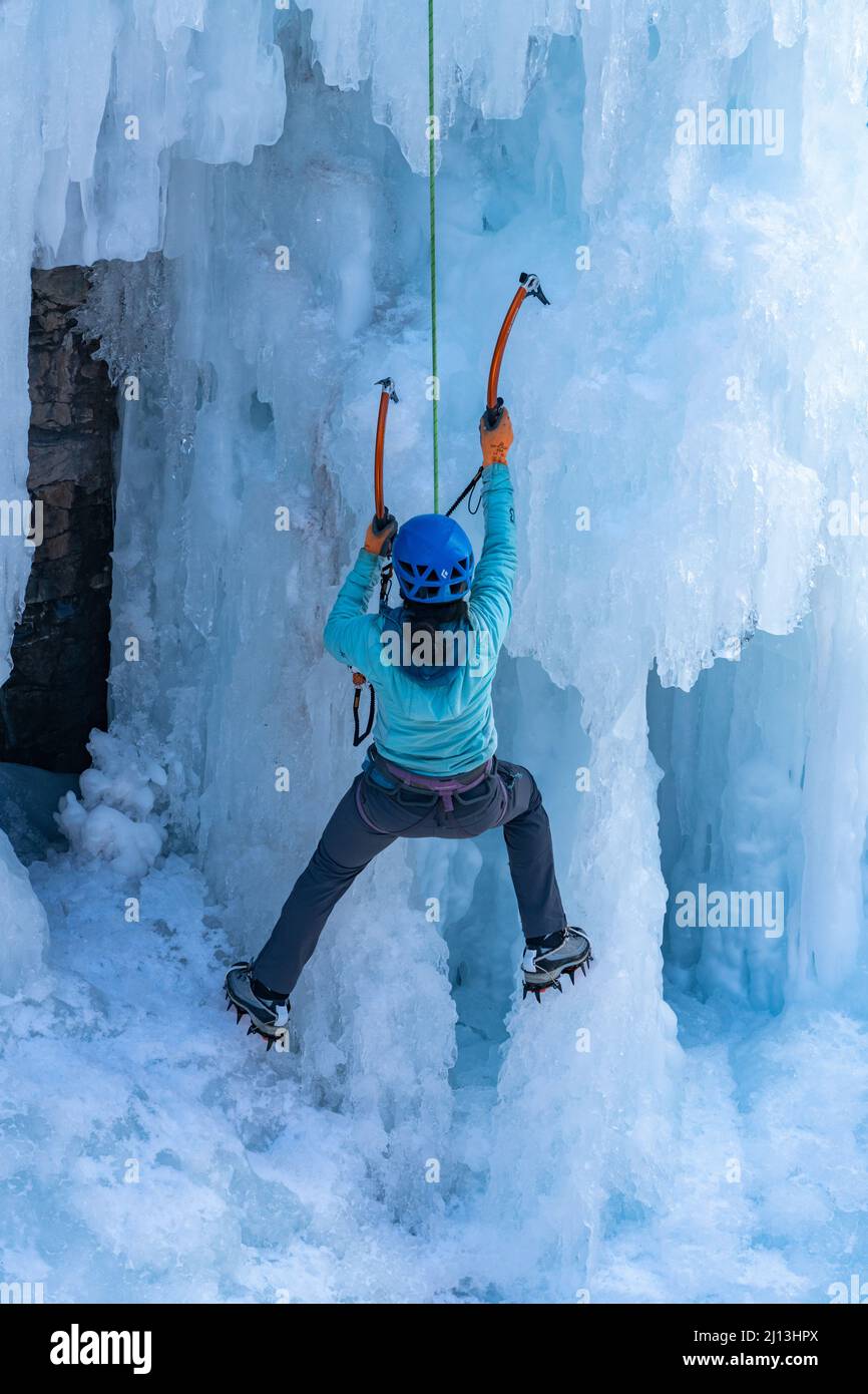 A female ice climber ascending an ice wall using ice axes and crampons ...