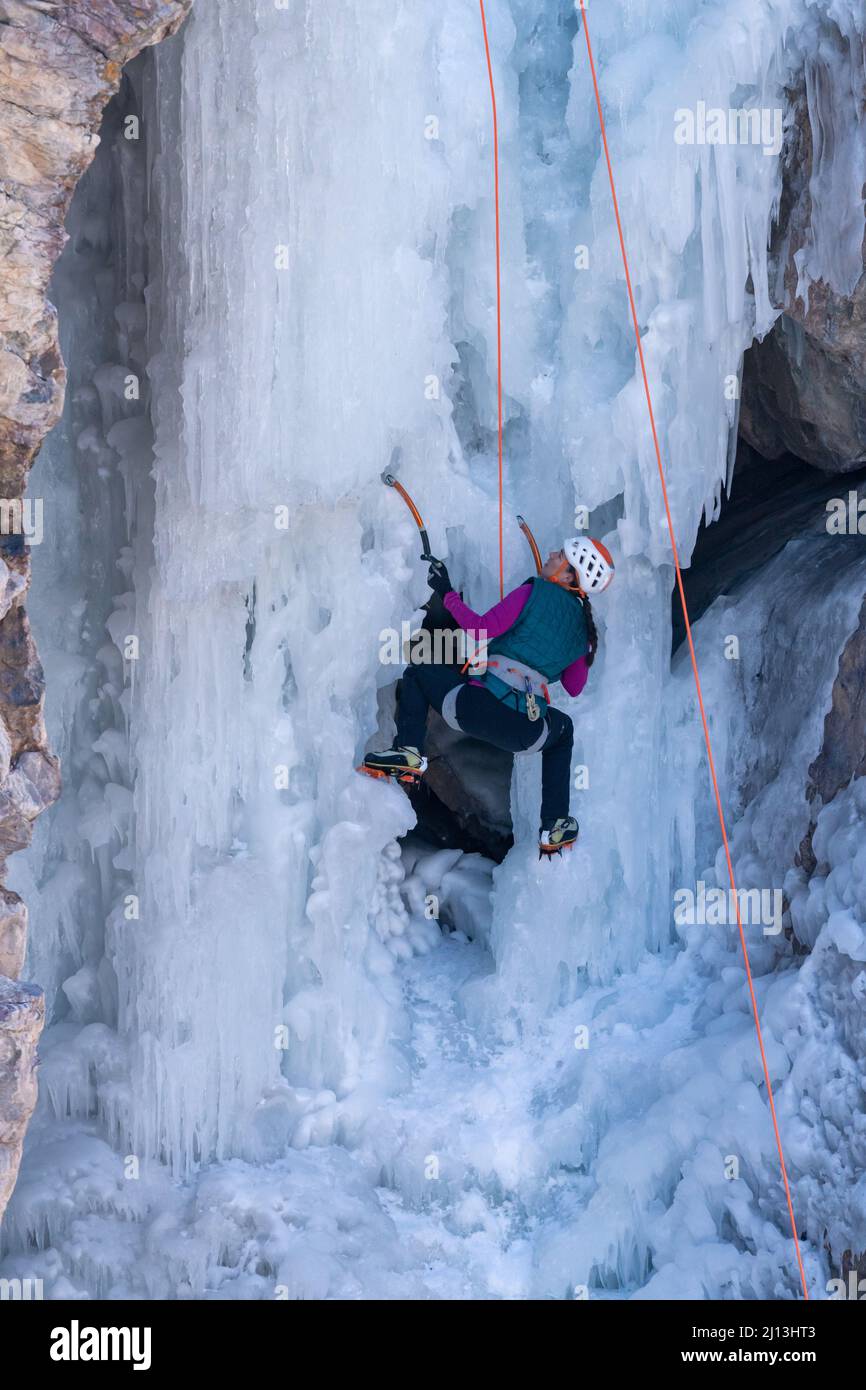 A female ice climber ascending an ice wall using ice axes and crampons ...