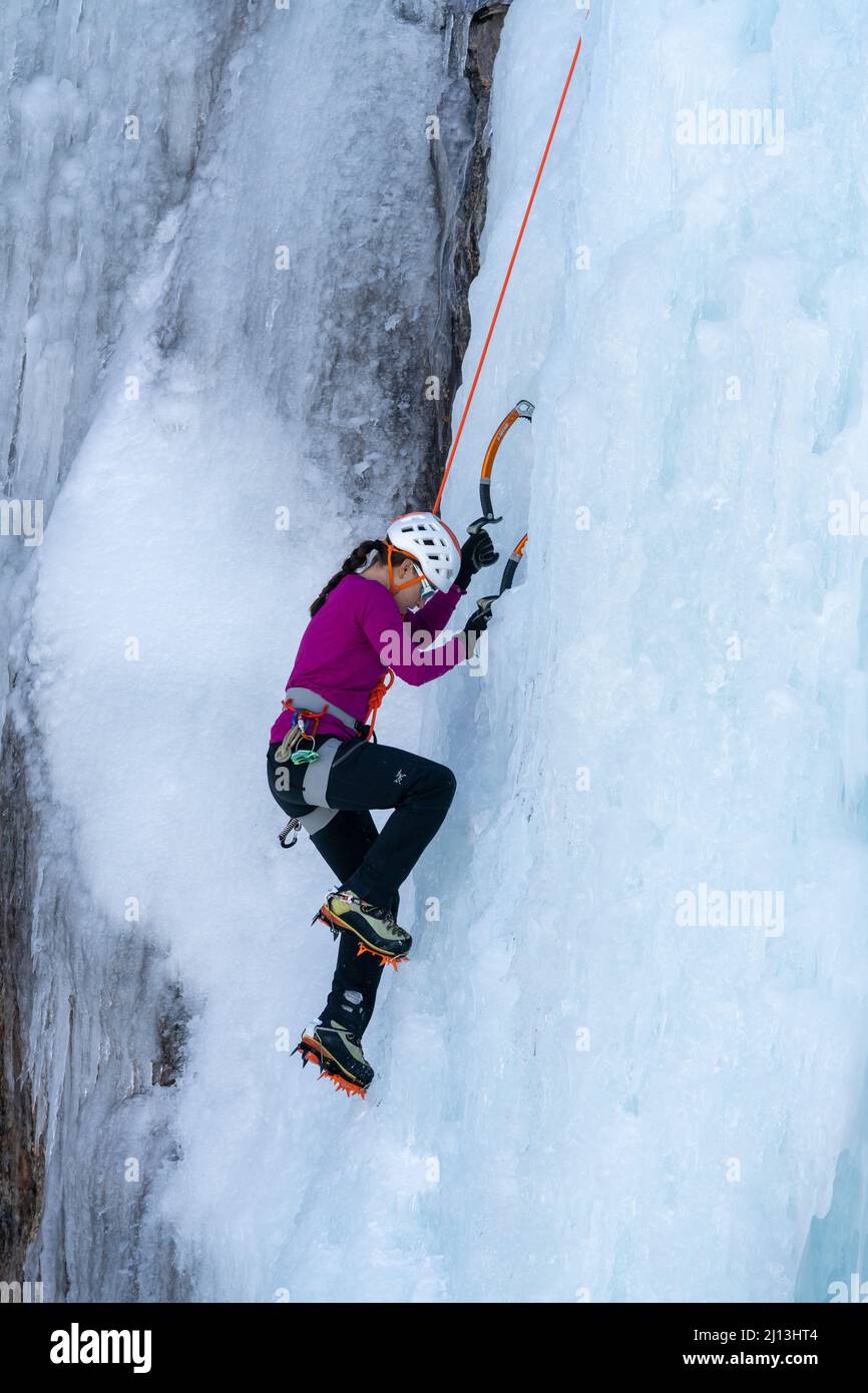 A female ice climber ascending an ice wall using ice axes and crampons ...