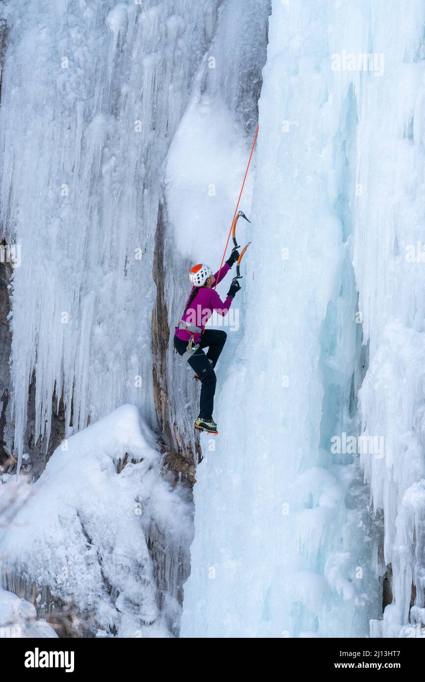 A female ice climber ascending an ice wall using ice axes and crampons ...