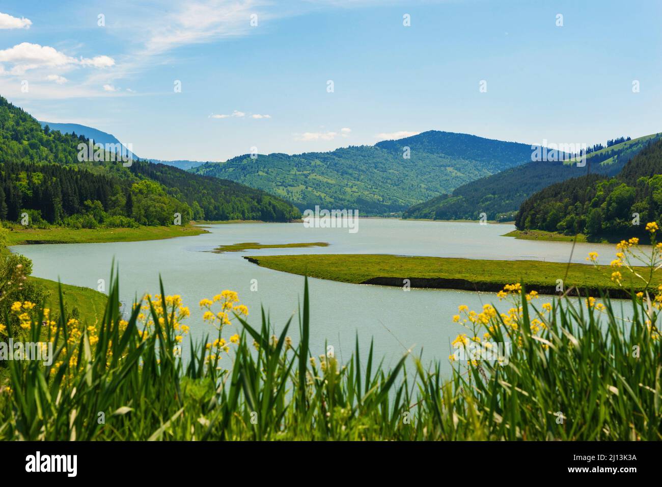 Summer landscape with lake, forest and flowers Stock Photo - Alamy