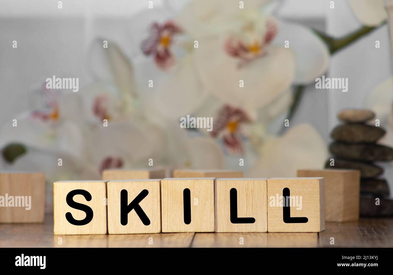 SKILLS word made with building blocks isolated on white Stock Photo - Alamy