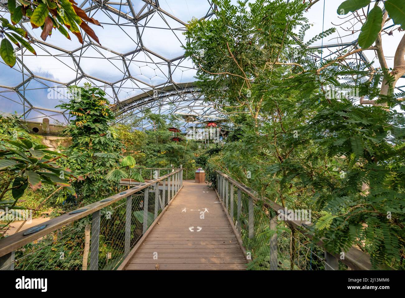 Inside the biome at the Eden Project in Cornwall Stock Photo - Alamy