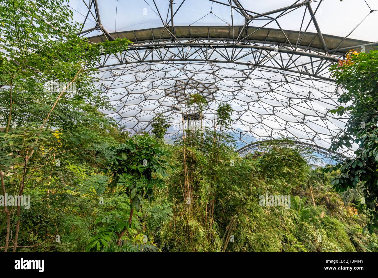 Inside the biome at the Eden Project in Cornwall Stock Photo - Alamy