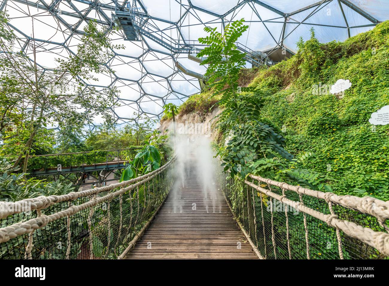 Walkway bridge inside the Eden Project in Cornwall, UK Stock Photo - Alamy