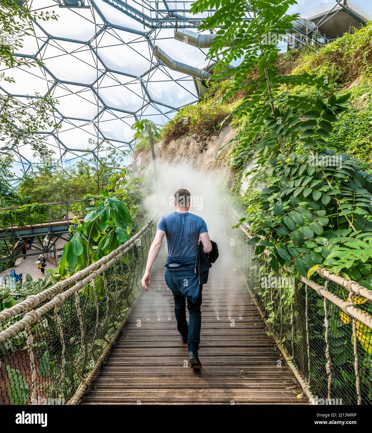 Walkway bridge inside the Eden Project in Cornwall, UK Stock Photo - Alamy